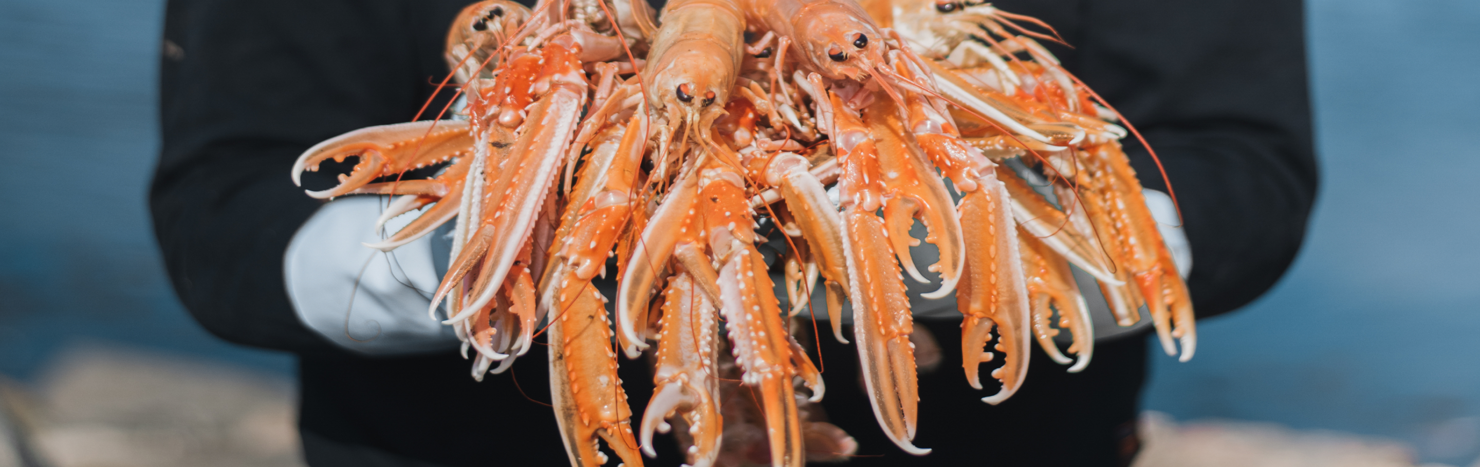 Sweden Shellfish